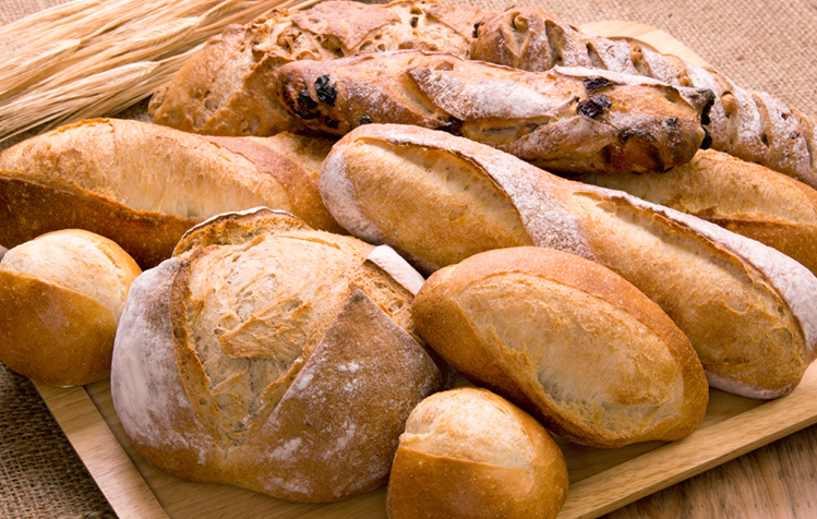 Cámaras de fermentación de pan - REFRICA